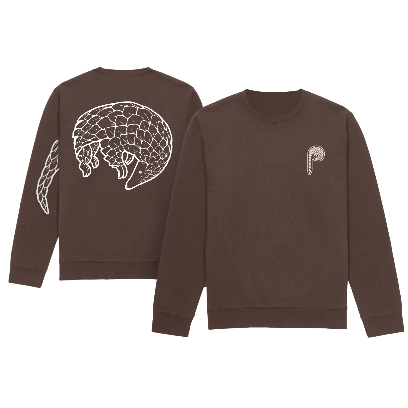 Pangi – Creator Merch